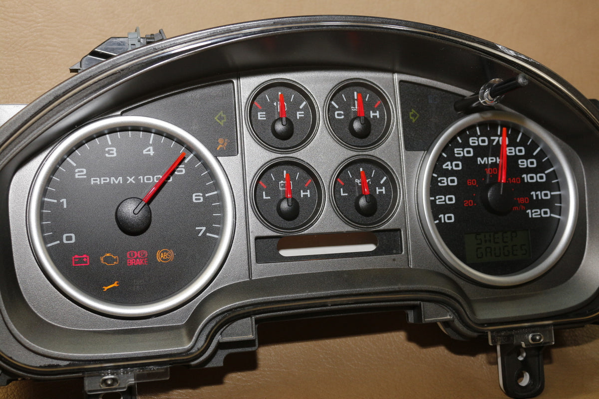 04 05 FORD F-150 FX4 INSTRUMENT CLUSTER GAUGES SPEEDOMETER 4L34-10849 ...